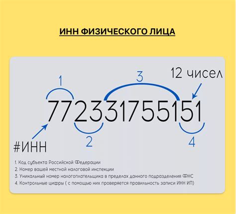 Сколько цифр в ИНН и как их расшифровать