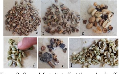 Figure 1 From Coffee Grading With Convolutional Neural Networks Using Small Datasets With High