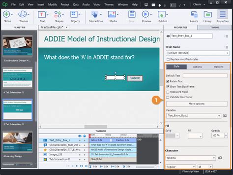 Insert A Text Entry Box CustomGuide