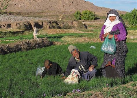 اقامتگاه های بوم گردی روستای اسفندیار عکس ها، رزرو آنلاین، بهترین قیمت