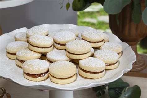 Social Event Individual Presentation Of Tasty Cookies For Party Guests