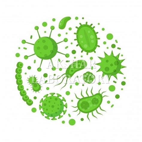 Micrococcus Pyogenes Testing Services At Best Price In Ahmedabad Akshar Analytical Laboratory