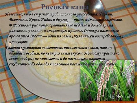 Презентация на тему: "Крупа и каша. Манная каша Манная крупа это не ...