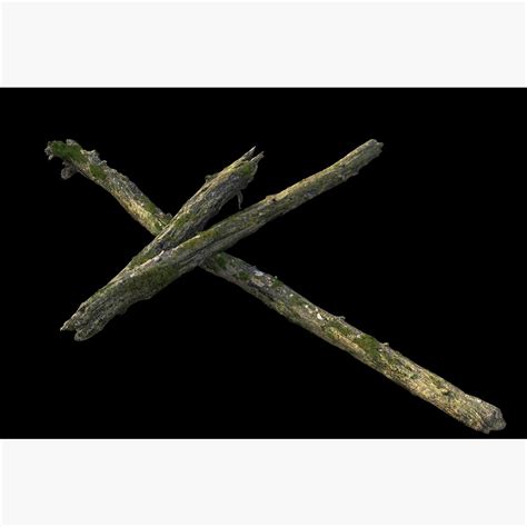 Fallen Dry Tree Branches With Moss 3d Model Download Landscapes On