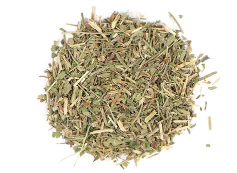 Sheep Sorrel Healing Waters Clinic And Herb Shop
