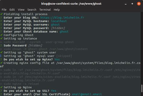 Set Up Your Ghost Blog Behind Nginx On A Scaleway Instance