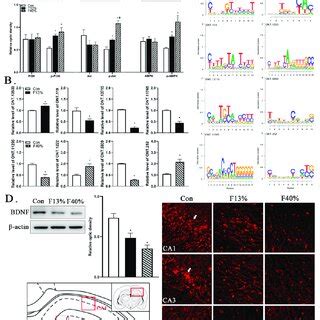Transcriptome Sequencing Validation Experiments And Transcription Download Scientific Diagram
