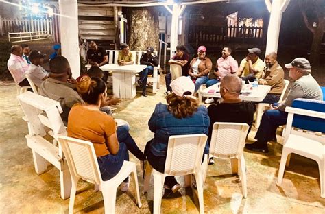 Pld Asegura Que Se Prepara Para La Defensa Del Voto Ciudadano