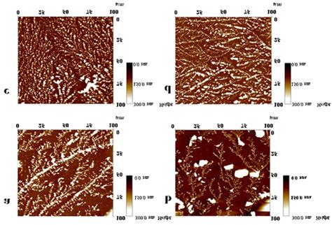 Afm Topography Height Mode Images Obtained In Tapping Mode After