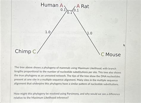Solved The Tree Above Shows A Phylogeny Of Mammals Using