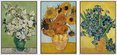 Aefer Canvas Print Wall Art Set Poppy Sunflower Iris Flower Trio