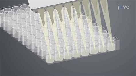 Cellular Bioluminescence Based Assay A High Throughput Method For Combinatorial Drug Screening