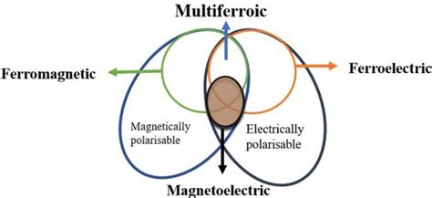 Pib Mnbi2s4 Multiferroic Material For Energy Efficient Data Storage