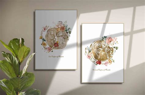 Placenta Anatomy Art Maternal Placenta Fetal Placenta Etsy