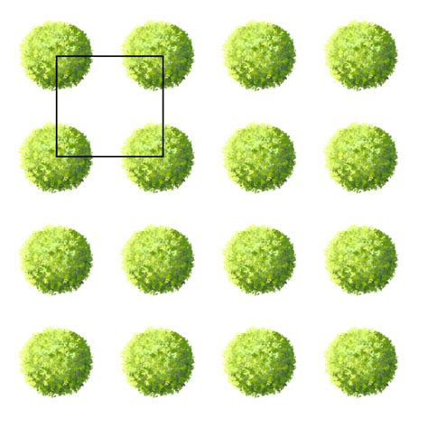 Optimizing Space Utilization Why Planting Patterns Are Important When