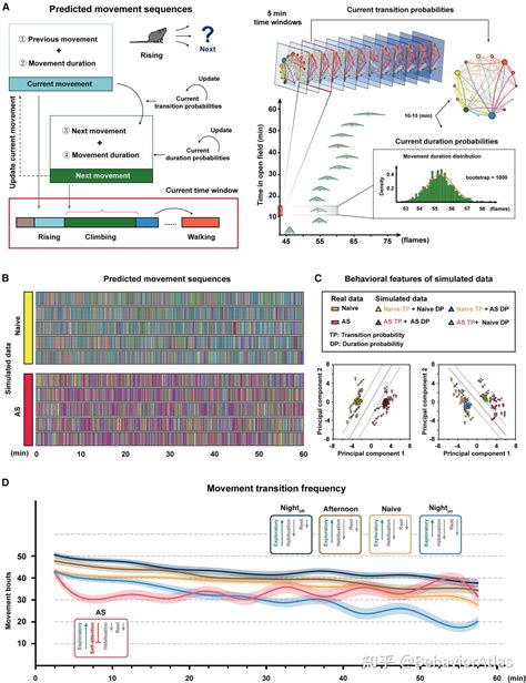 Cell Reports丨深圳先进院脑所王枫团队建立了一套数据驱动的层级化行为定量分析框架 知乎