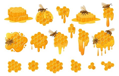 Premium Vector Cartoon Honeycomb Set Sweet Honey Honey Drops With Honey Bees Beekeeping