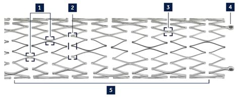 Everflex™ Stent System With Entrust™ Delivery System Medtronic