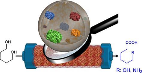 Heterogeneous Biocatalysts Maximizes Cell Free Biosynthesis Vapourtec