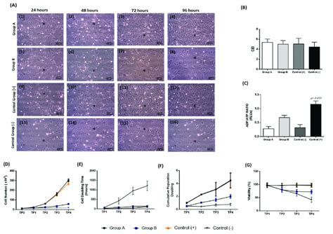 Evaluation Of Cec Characteristics Utilizing Different Experimental