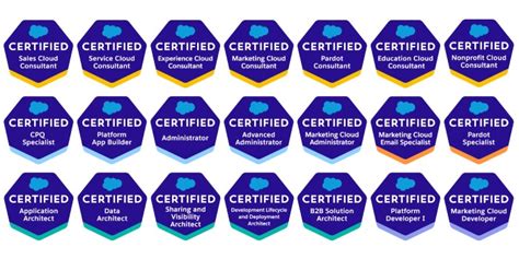Salesforce Consulting Service And Development Partner Company In