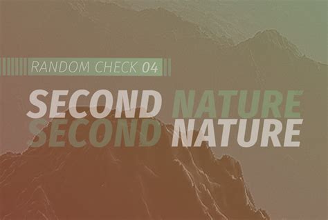 Random Check 4 Druga Natura Projekt Multimedialny Muzeum Narodowe