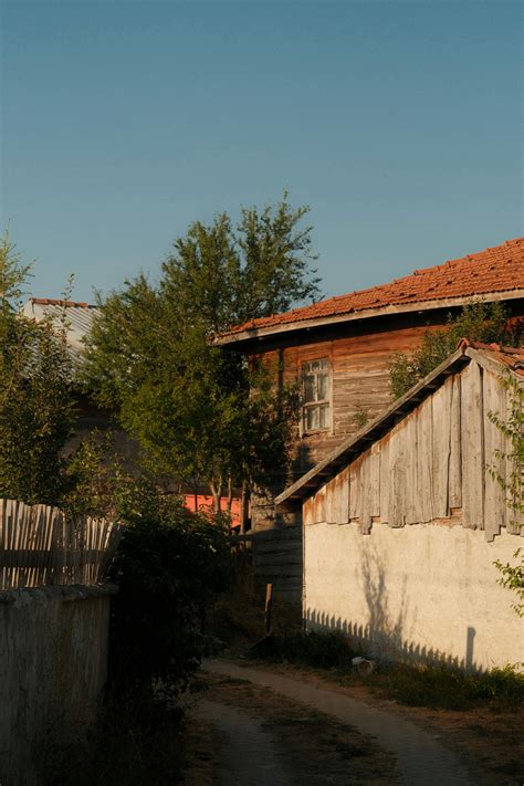 Teenselfietanlines Photos Download The Best Free Teenselfietan