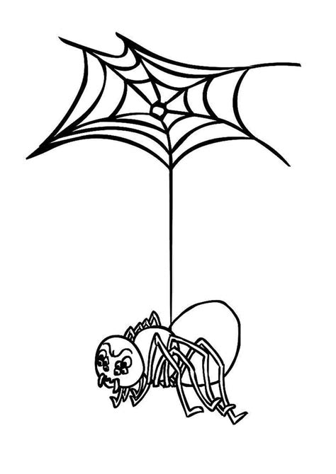 Раскраски Пауки на паутине Много раскрасок Липкая паутина Много раскрасок Рисунок Паутина