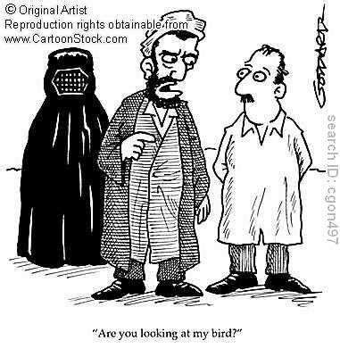 Alien In The Caribbean Sex On The Brain 2 The Elements Of Sex