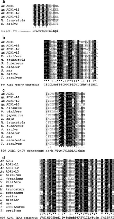 multiple sequence alignment of motif regions specific for the