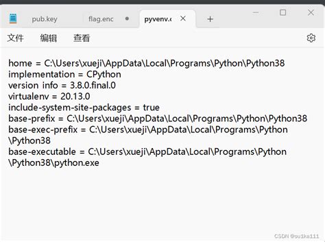 Re题8buuctf Re Rsabuuoj Rsa Csdn博客