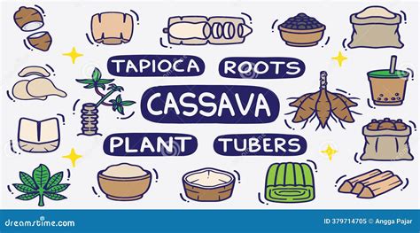 Cassava Doodle Cartoon Vector 379714705