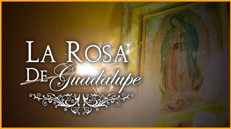 La rosa de Guadalupe - Flix