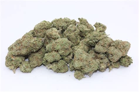 The 💯 Alien Mints High Society 416
