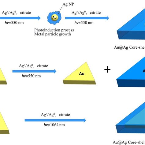 Growth Of Au Ag Core Shell Nanostructures [47] Download Scientific