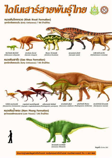 ไดโนเสาร์สายพันธุ์ไทย 12 สายพันธุ์ Amazing Dinosaur เขาค้อ Facebook