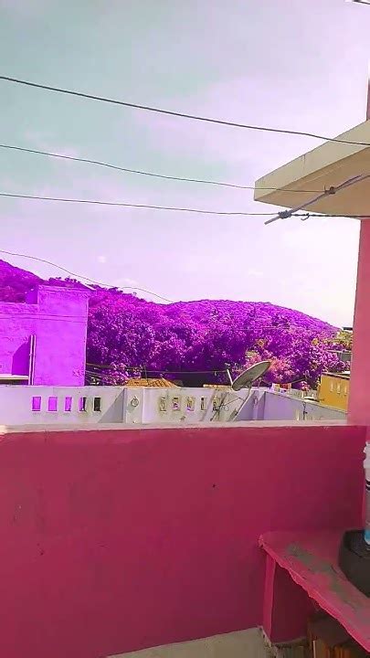 💜💜💜 Puple Garden Youtube