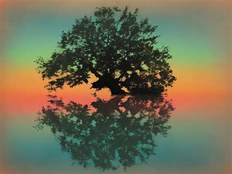 Premium Ai Image A Tree In Middle With Gradient Background