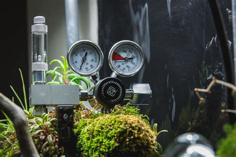 Ph Swings Low Ph And Co2 In Planted Tank