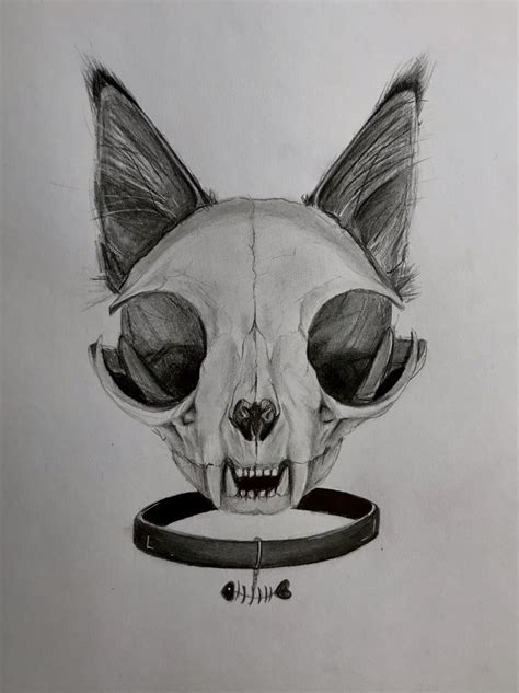 Tiger D Printing Models Cgtrader Tiger Skull Cat Drawing Tutorial My