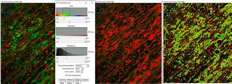 editing the color threshold macro image analysis image sc forum