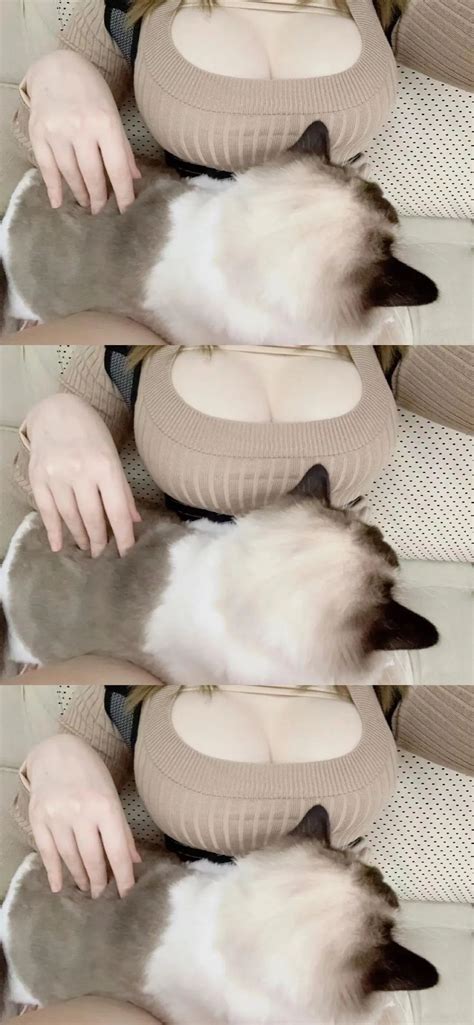 高清写真壁纸丨除了黑丝的腿那就是黑丝的jiojio了
