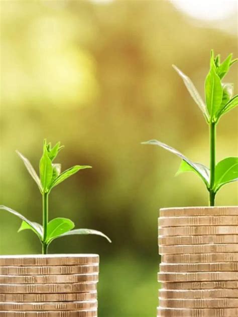 PPF Interest Rates And Eligibility All Details Here Times Now