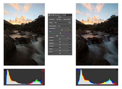 Raw Vs Jpeg Shooting In Raw Standard Image Raw Photo Camera