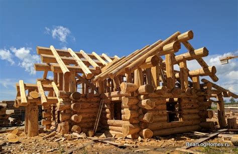 Срубы из кедра