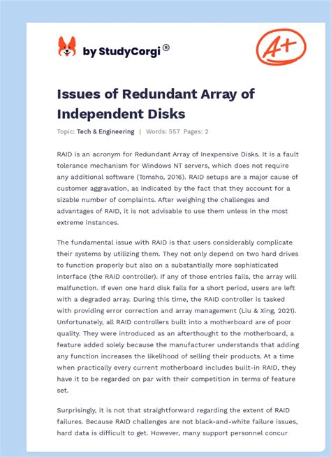 Issues Of Redundant Array Of Independent Disks Free Essay Example