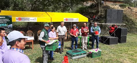 Jaén Destacan Primera Feria Del Cuy Realizada En Caserío Valencia Por