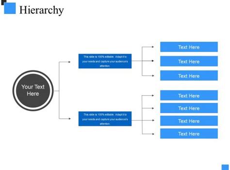 Stakeholder Hierarchy Slide Team