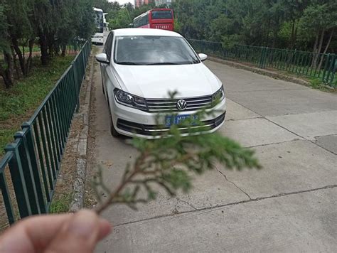 秋意浓，小桑与松柏的一次大片组合 知乎