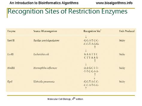 An Introduction To Bioinformatics Algorithms Bioalgorithms Info